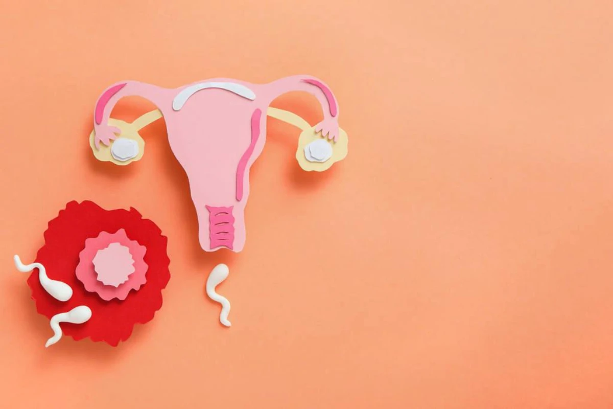 Your Comprehensive Guide To Period Sex